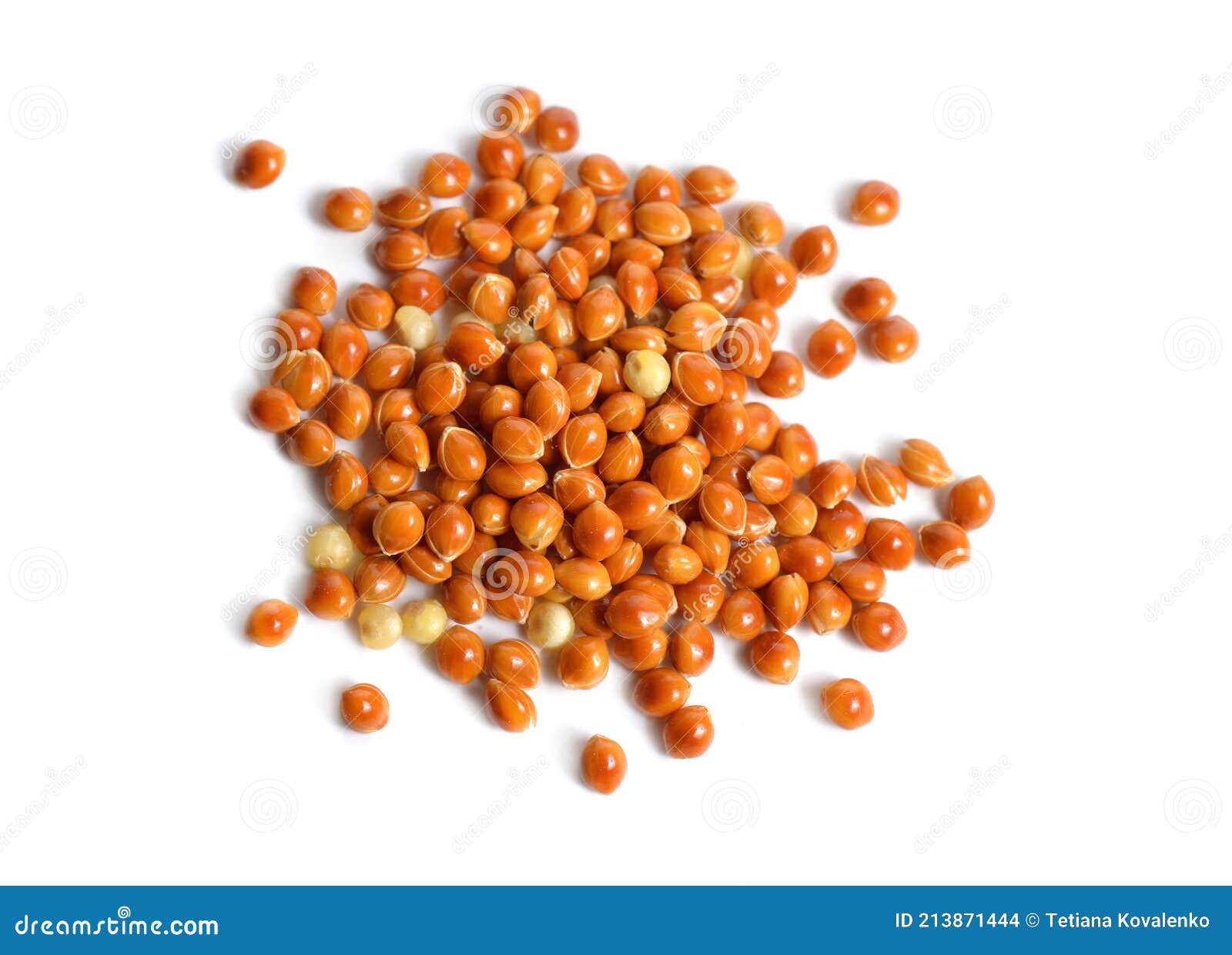 Switchgrass Panicum Virgatum For Biofuel Production Royalty-Free Stock ...