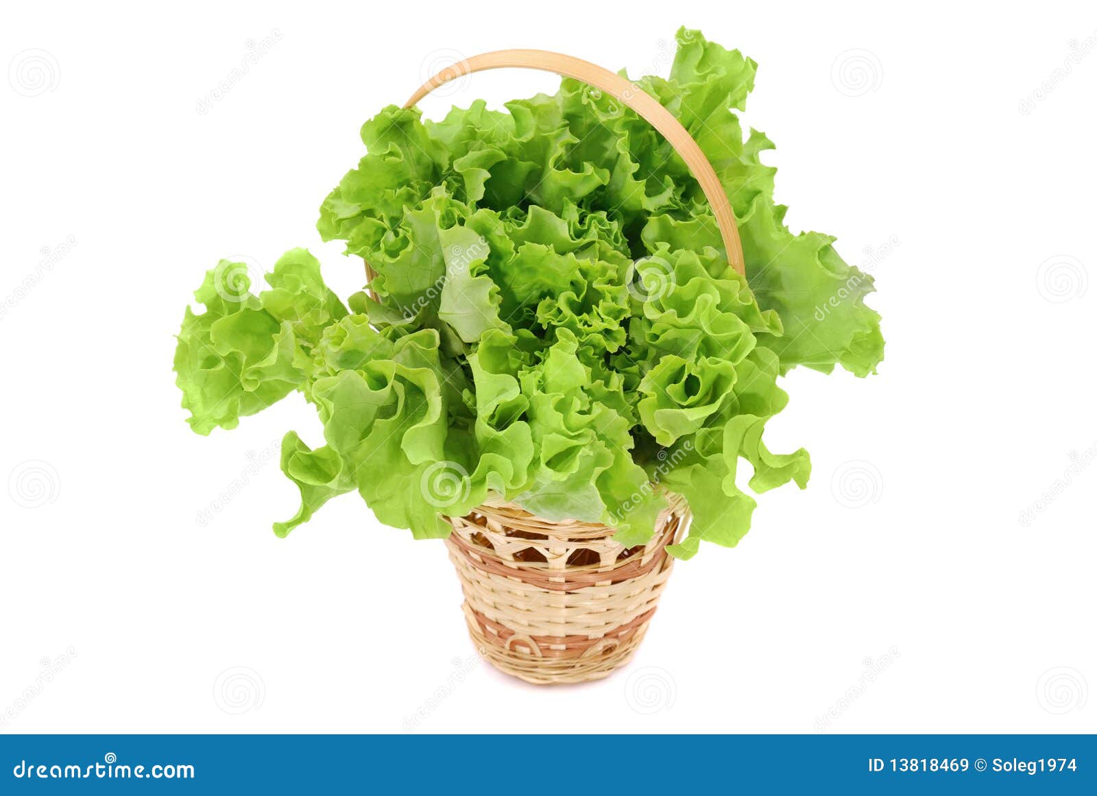 Panier Avec De La Salade Verte De Laitue Image stock - Image du ...