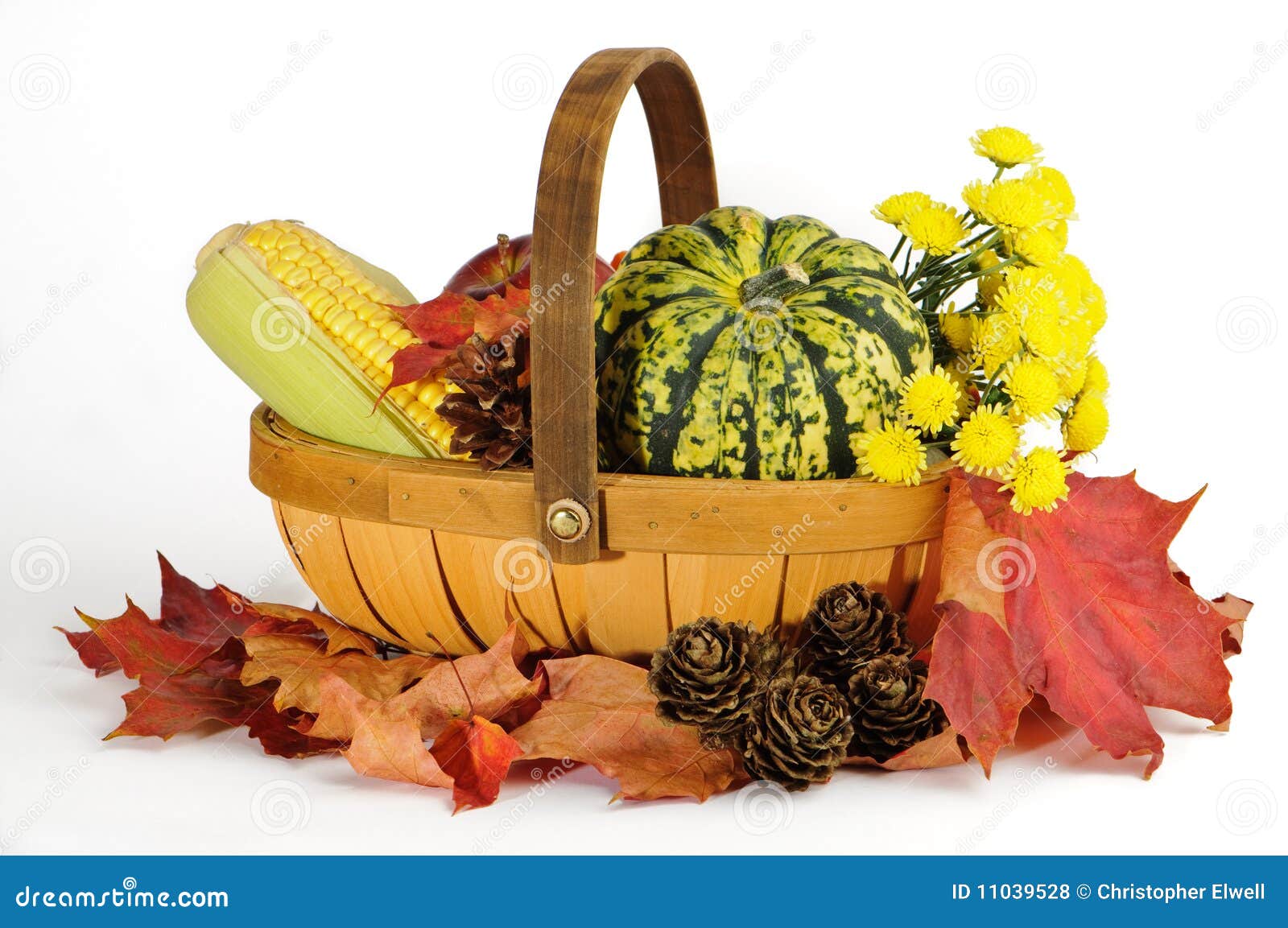 Panier d'automne photo stock. Image du trug, produit - 11039528