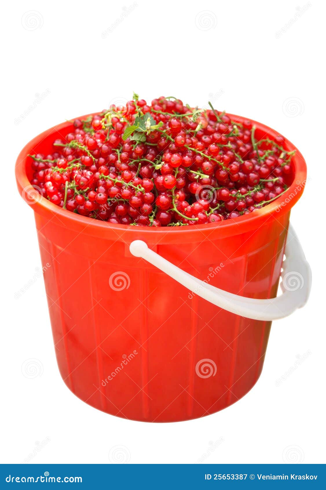 Panier De Groseille Rouge D'isolement Image stock - Image du aigre ...