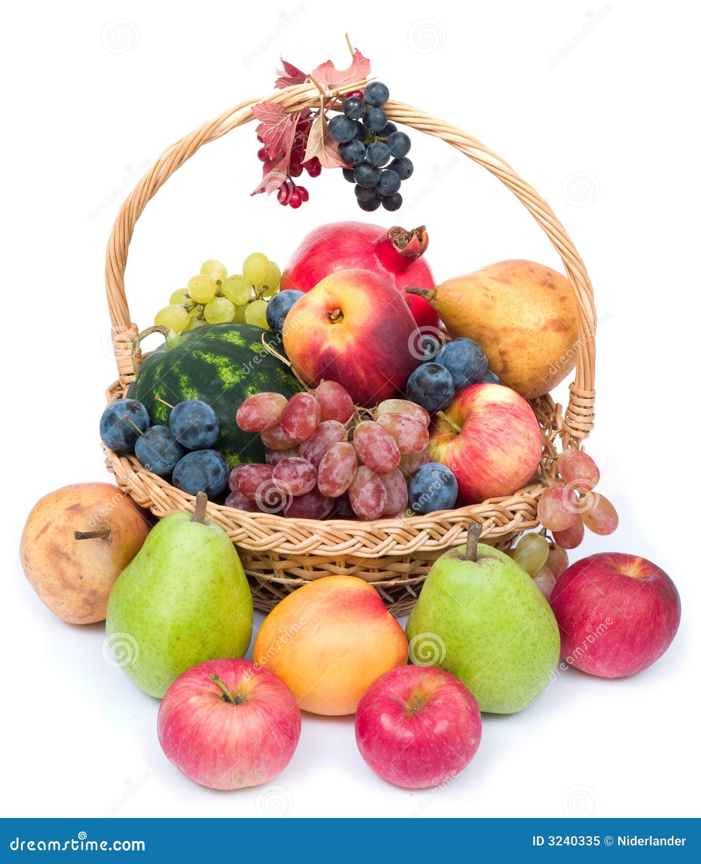 Panier des fruits image stock. Image du coloré, abondant - 3240335