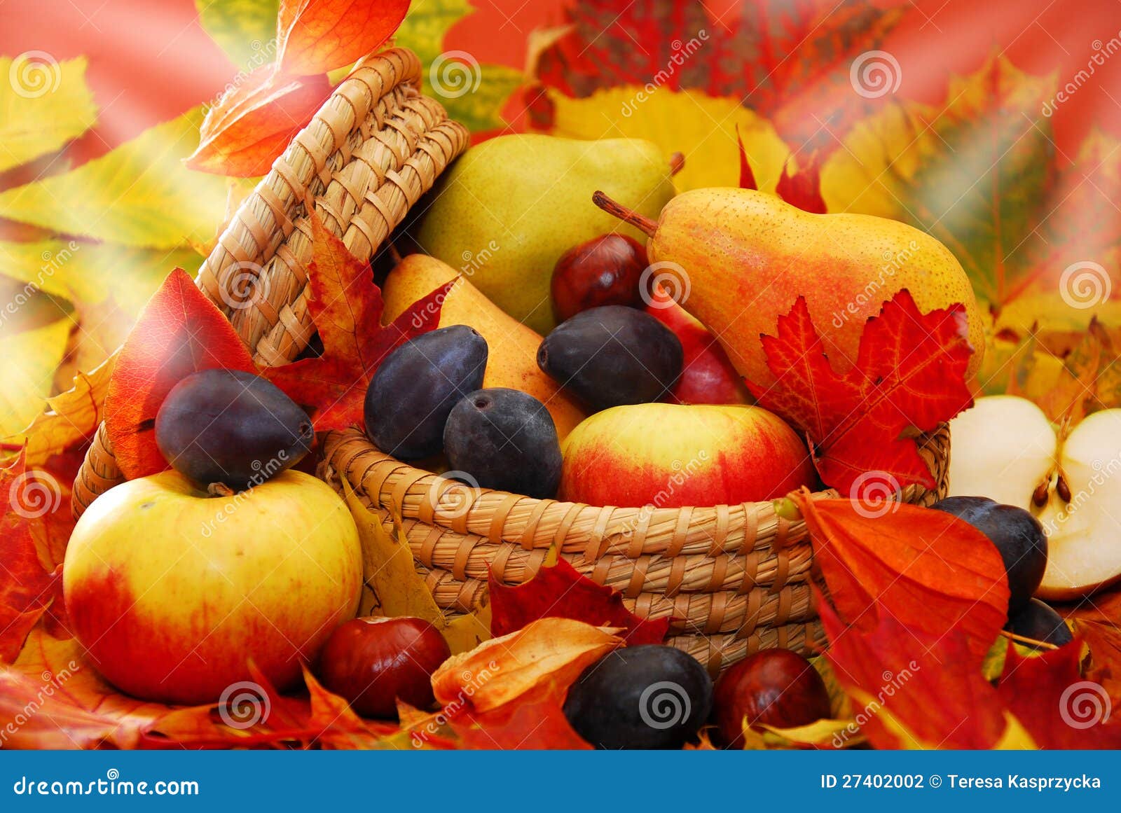 Panier Des Fruits D'automne Photo stock - Image du jardin, nourriture ...