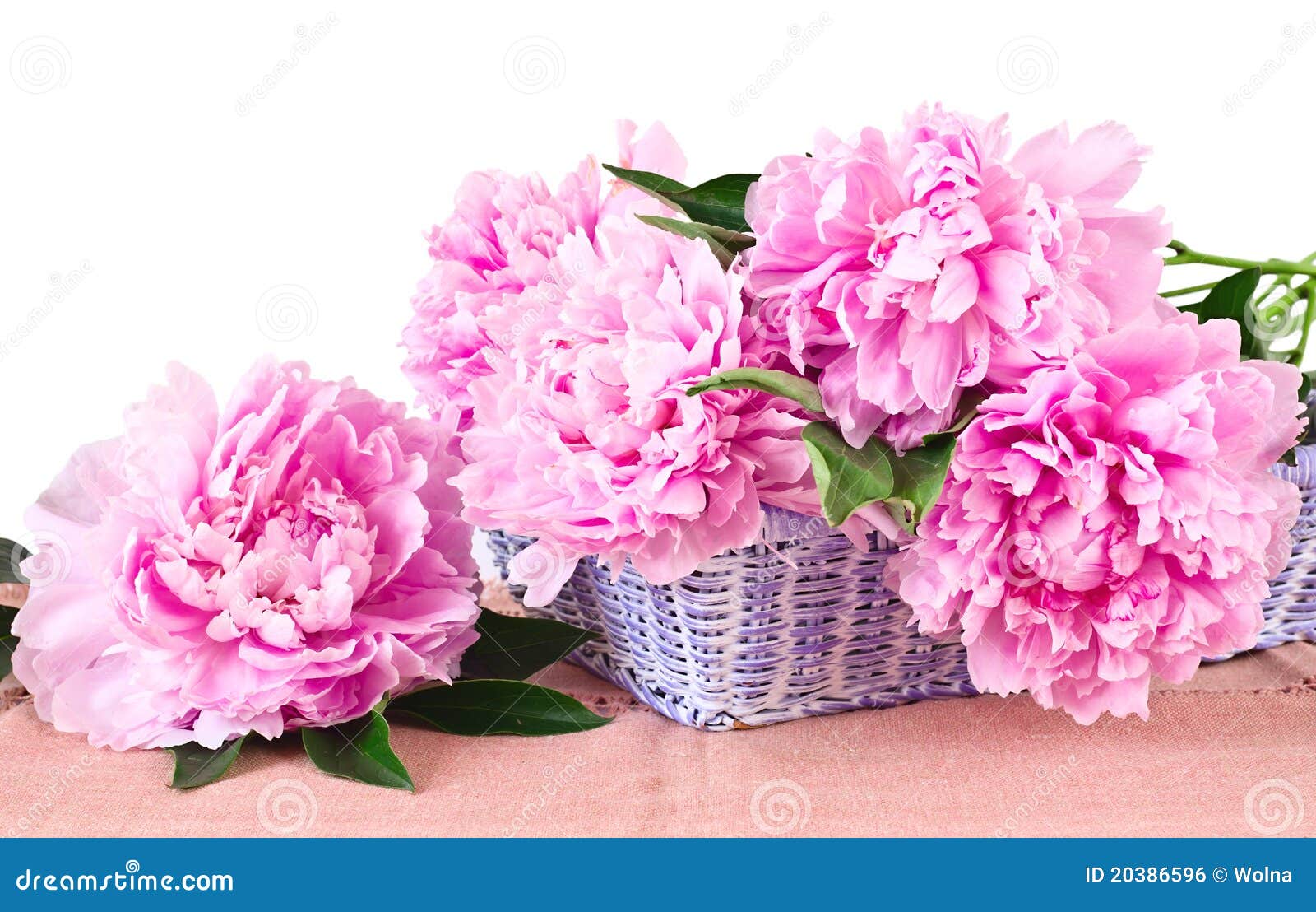 Panier des pivoines roses photo stock. Image du roman - 20386596