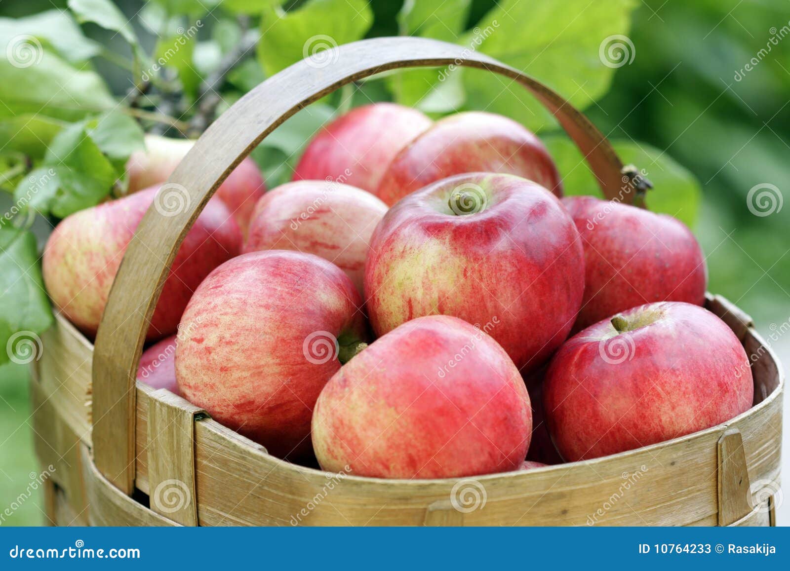 Panier des pommes rouges image stock. Image du végétarien - 10764233