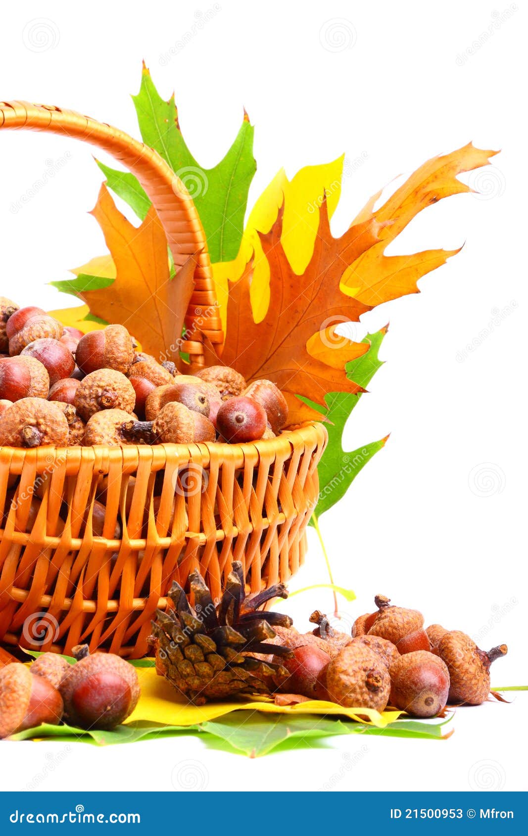 Panier en osier d'automne image stock. Image du lame - 21500953