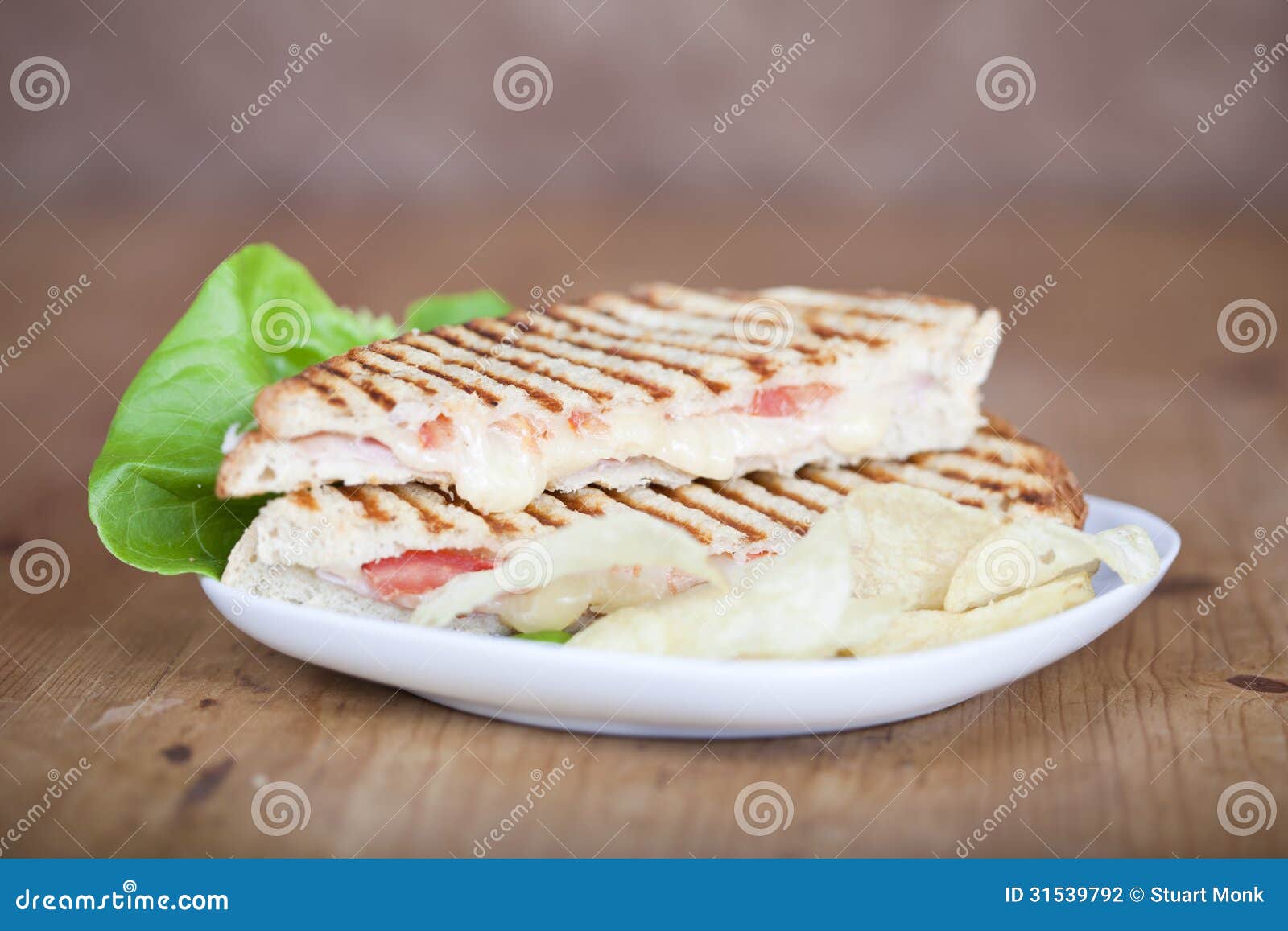 Panini stock photo. Image of tomatoes, veggies, grilled - 31539792