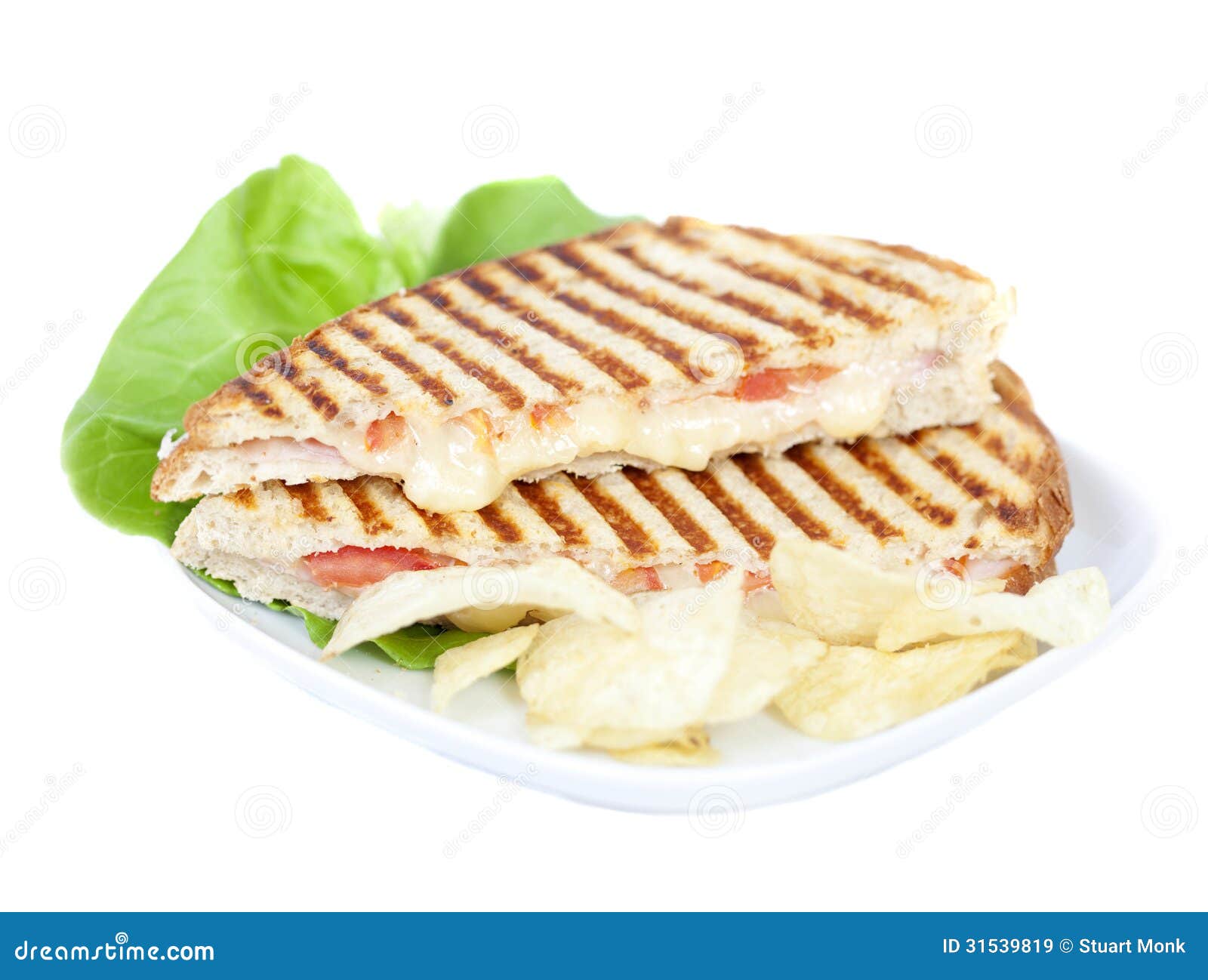 Panini stock image. Image of white, crisps, lettuce, lunch - 31539819