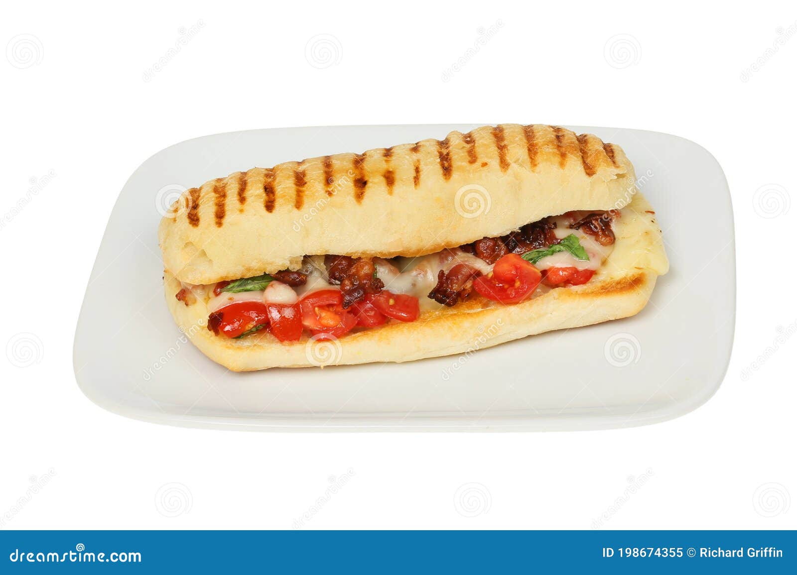 Panini on a plate stock image. Image of tomato, cooked - 198674355