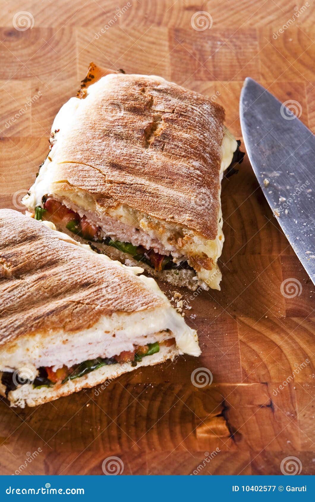 Panini sandwich stock image. Image of picnic, turkey - 10402577