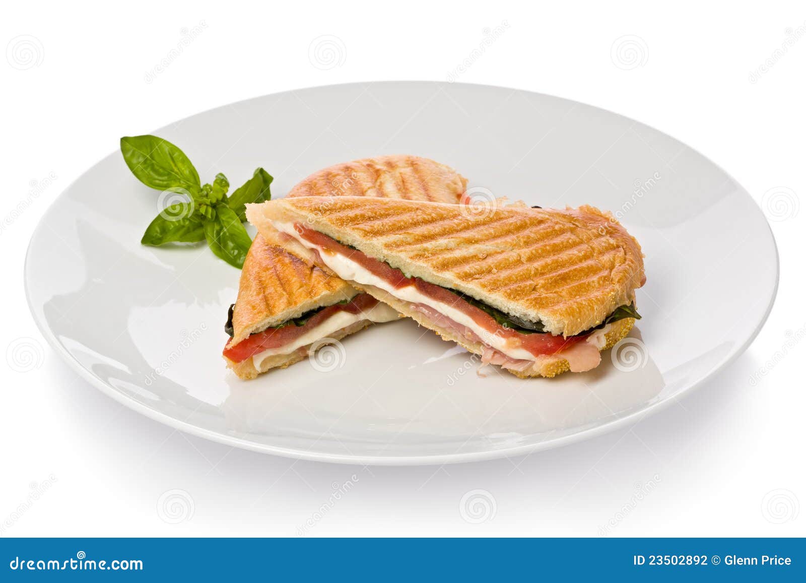 Panini Sandwich stock photo. Image of bread, food, meal - 23502892