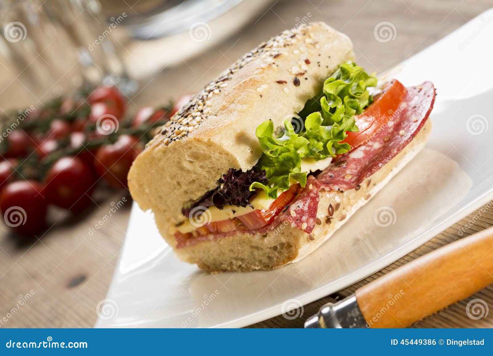 Panini sandwich stock photo. Image of salad, healthy - 45449386