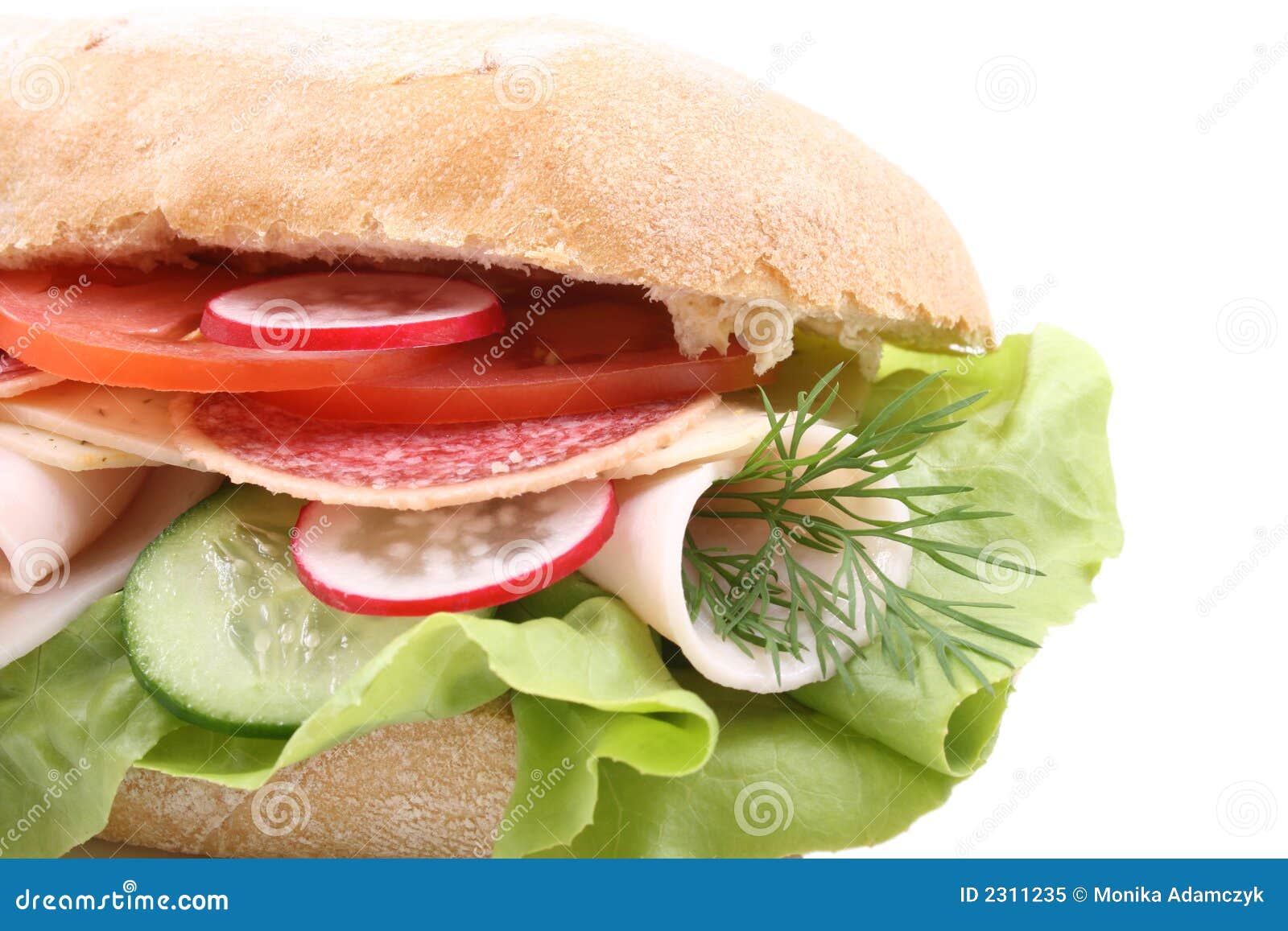 Panino immagine stock. Immagine di vitamine, alimento - 2311235