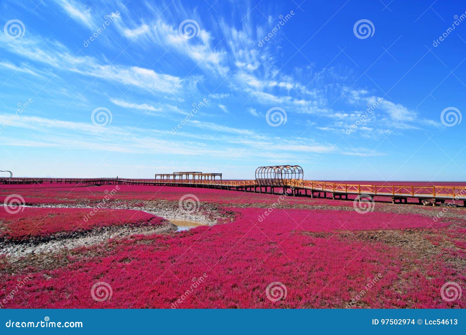 Panjin red beach stock photo. Image of park, blue, wetlands - 97502974