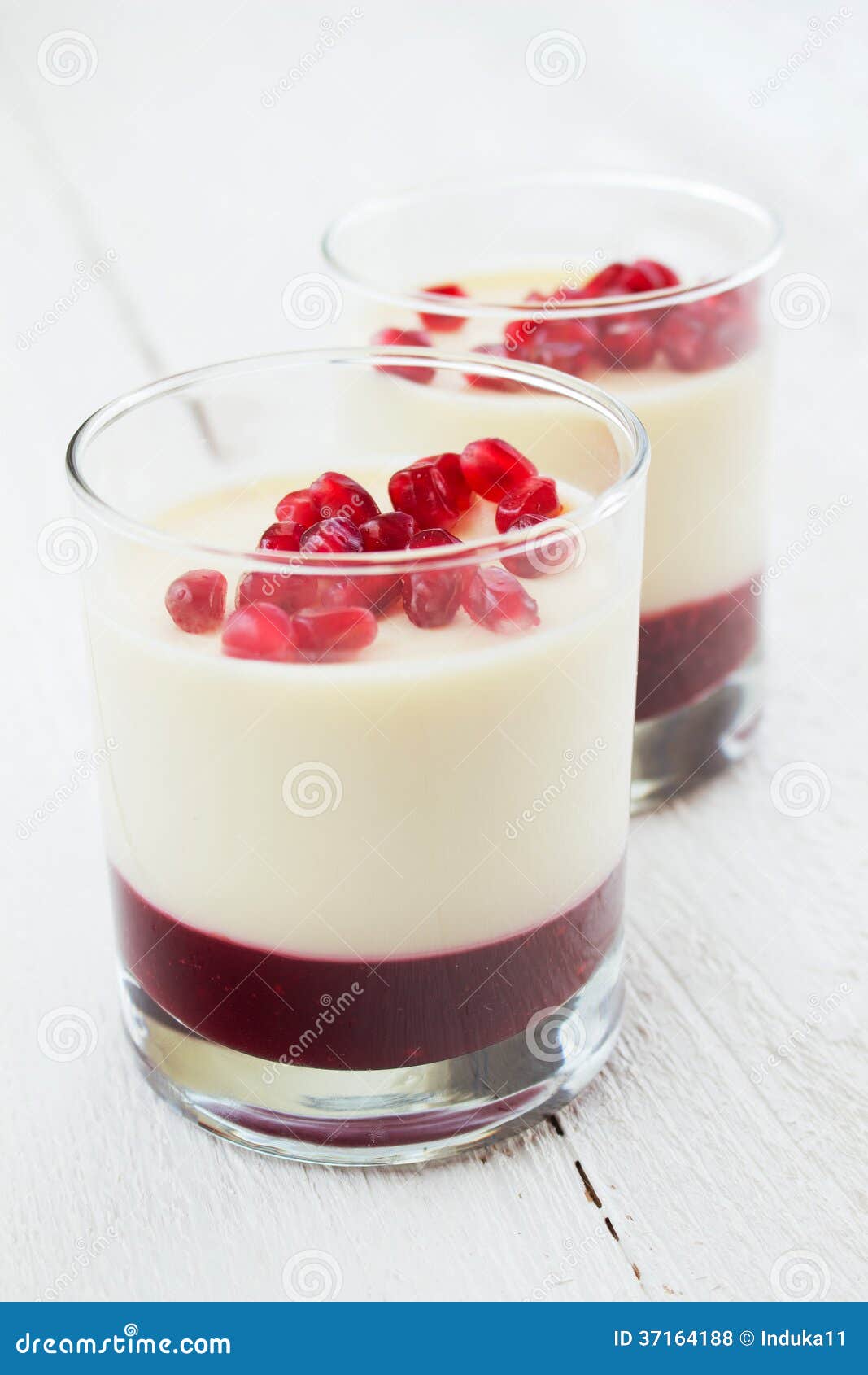 Panna cotta dessert stock photo. Image of cotta, fruit - 37164188