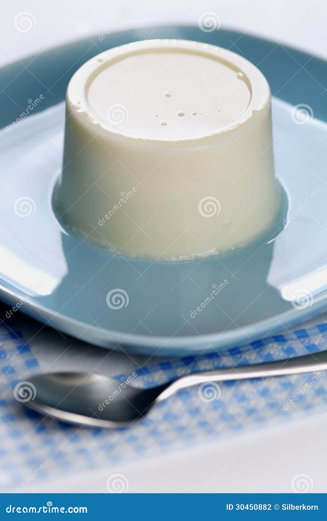 Panna cotta stock photo. Image of plain, cotta, panna - 30450882