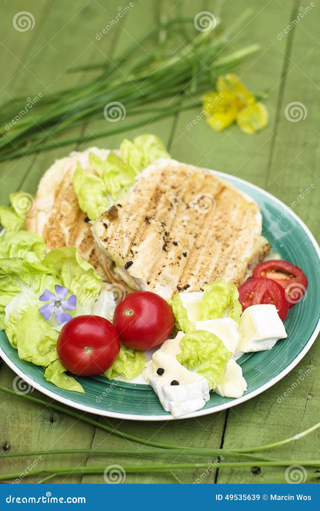 Pannini stock image. Image of pannini, formal, fresh - 49535639