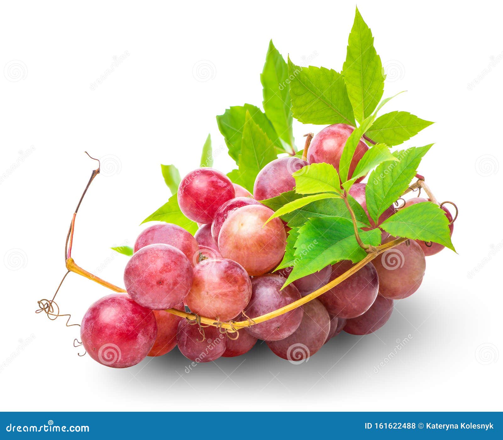 Pano de uva rosa foto de stock. Imagem de verde, maduro - 161622488