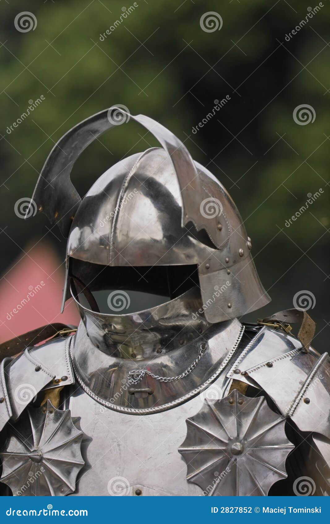 Panoply stock photo. Image of castel, gallant, armour - 2827852