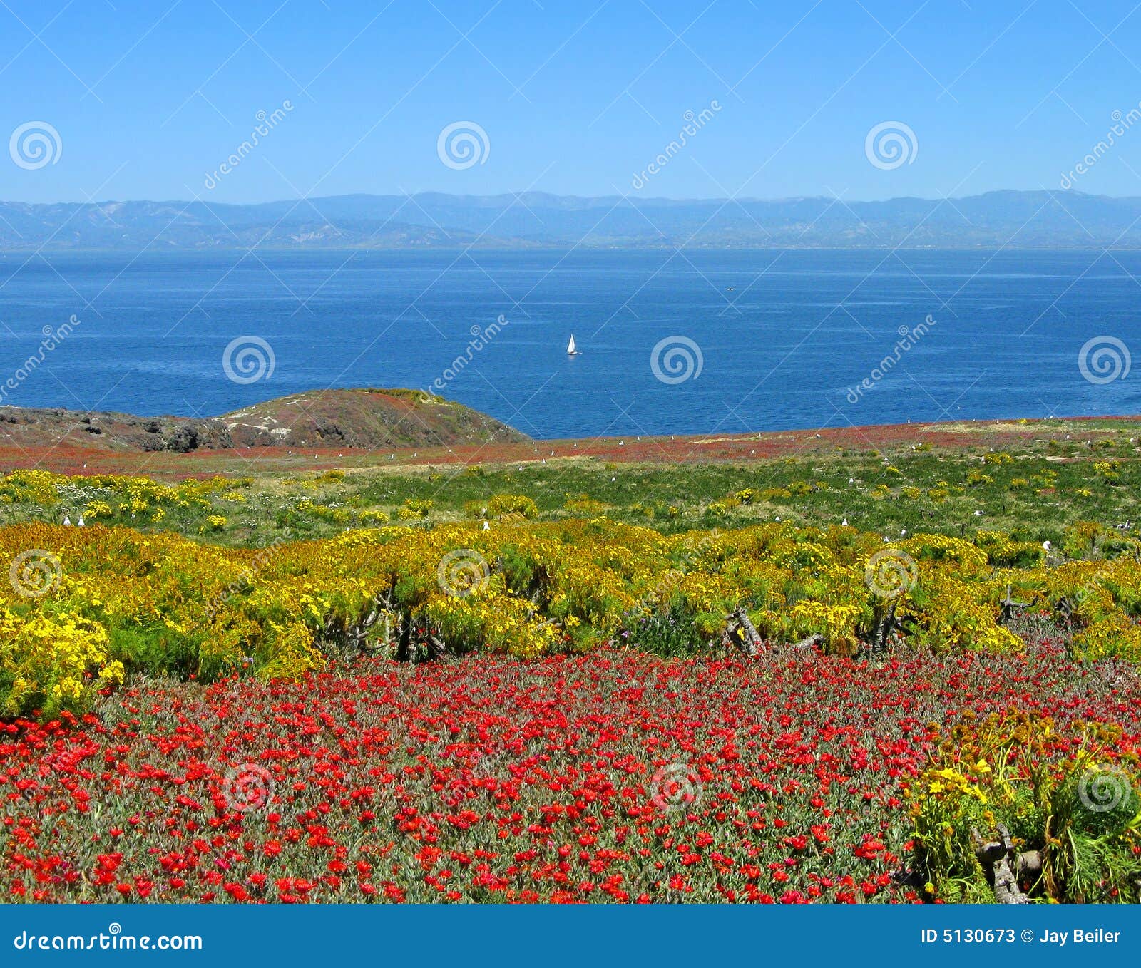 Panorama, île d'Anacapa image stock. Image du canal, oxnard - 5130673