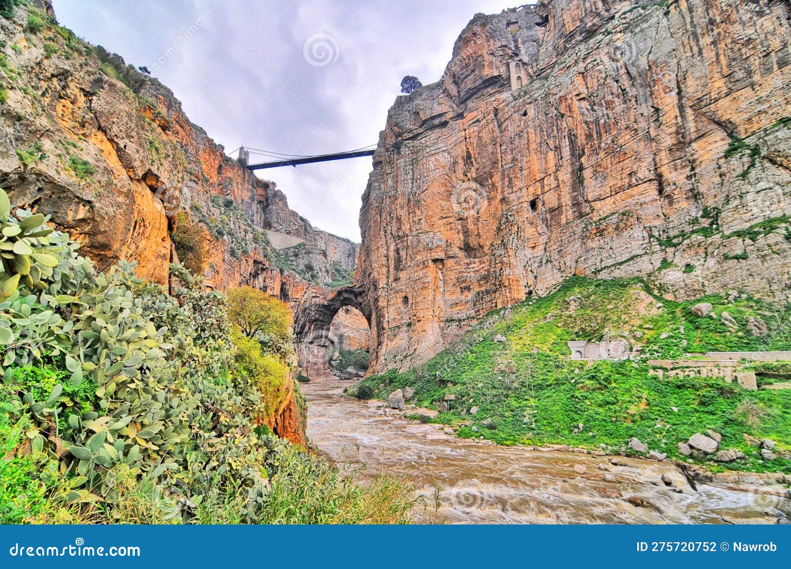 Panorama of Constantine stock photo. Image of location - 275720752