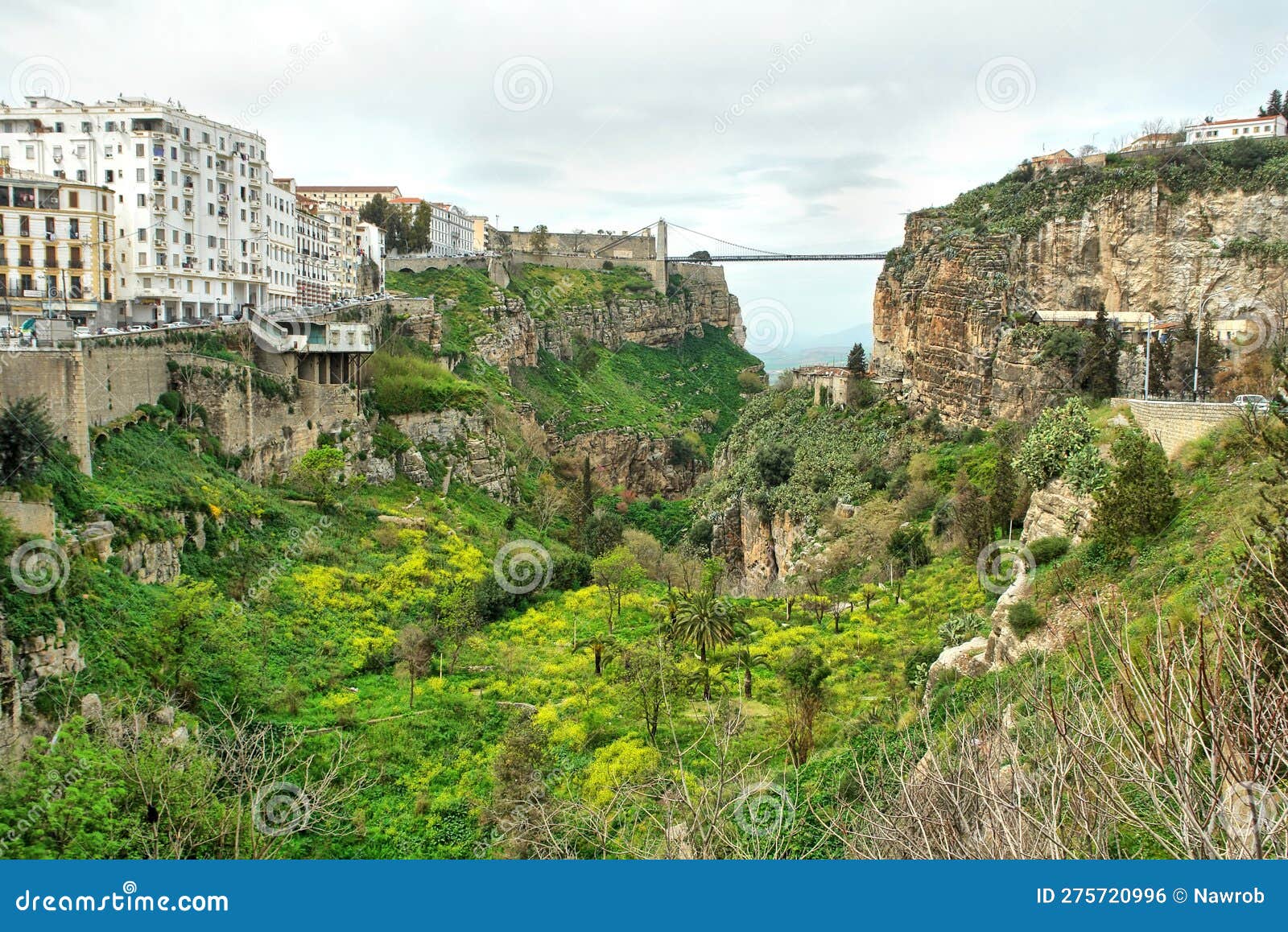 Panorama of Constantine stock photo. Image of bridge - 275720996