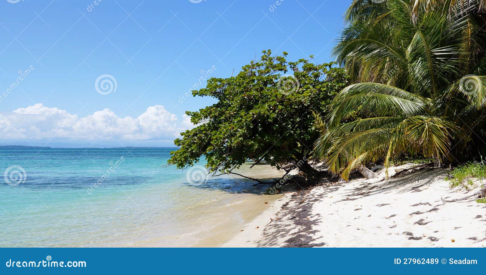 Panorama Auf Einem Strand Mit Schöner Vegetation Stockbild - Bild von ...