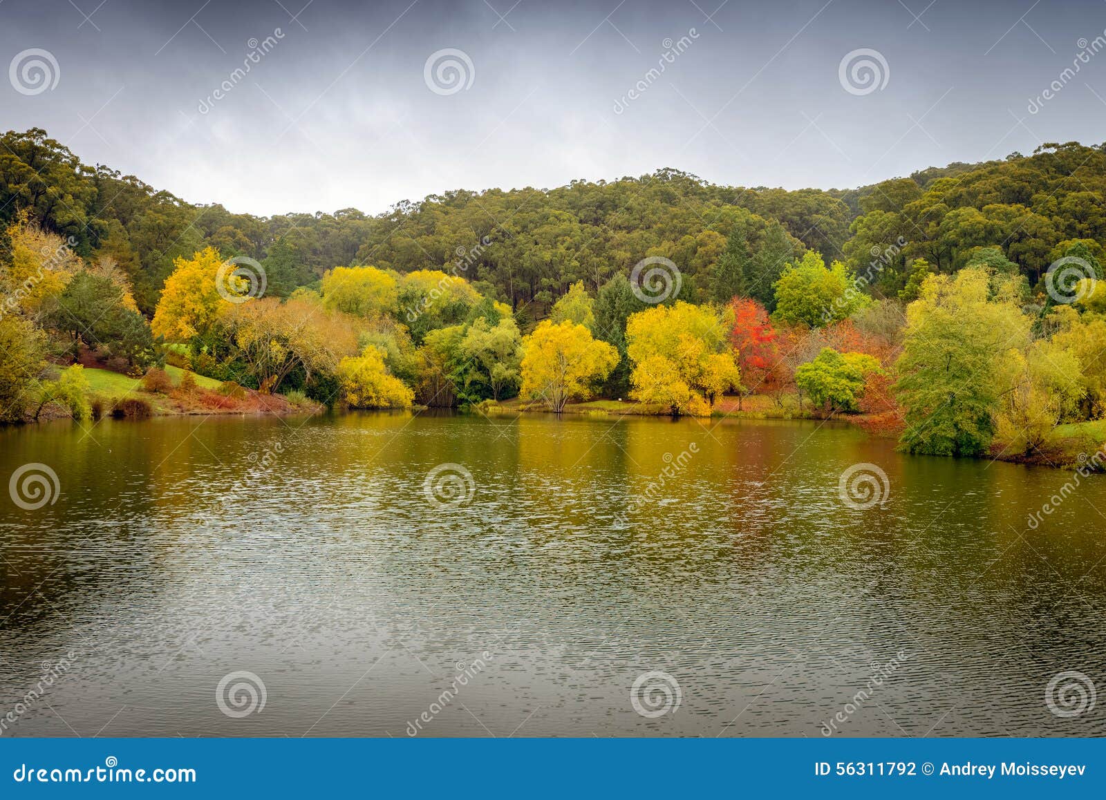 Panorama of Autumn Trees Around the Pond Stock Photo - Image of colour ...