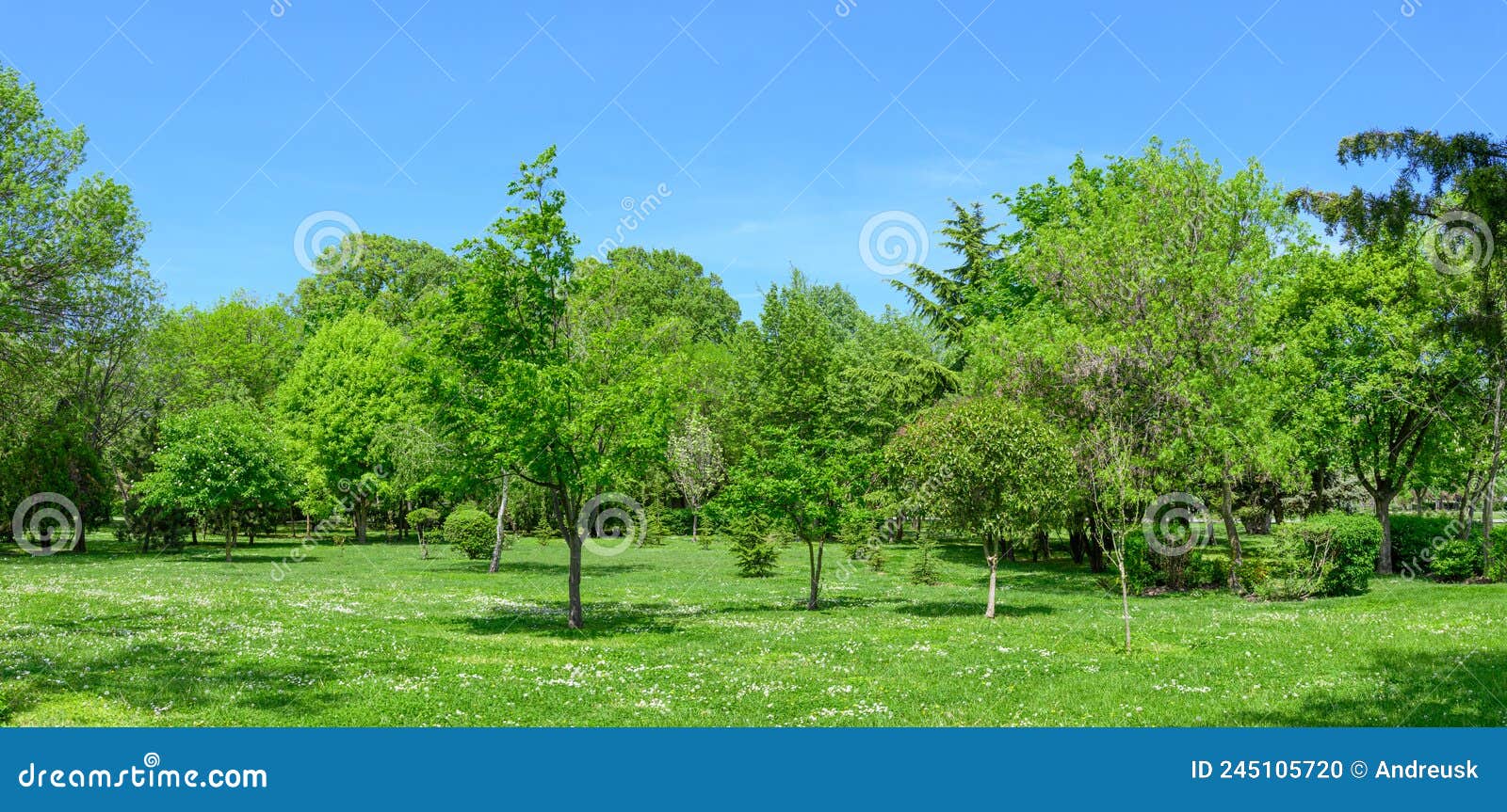 Panorama Of The Lawn In Front Of A Glasshouse With Plants In Benmore ...