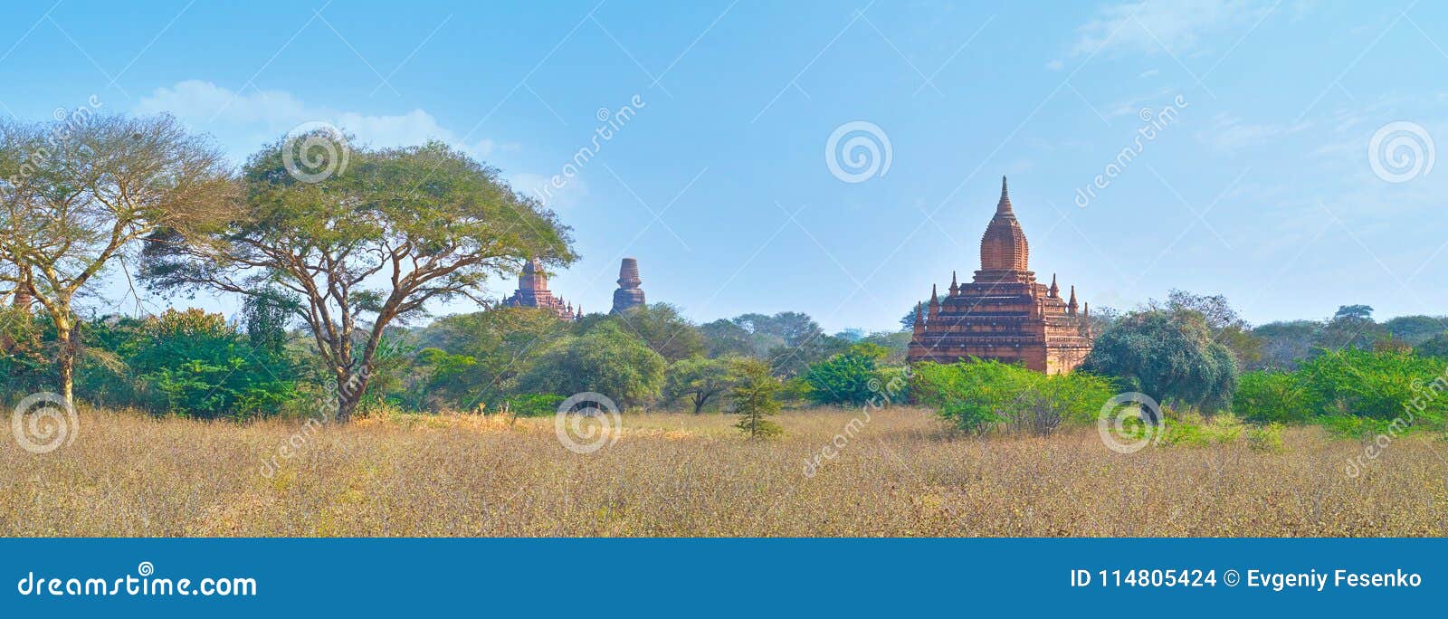 Panorama of Bagan plain stock photo. Image of indo, brick - 114805424
