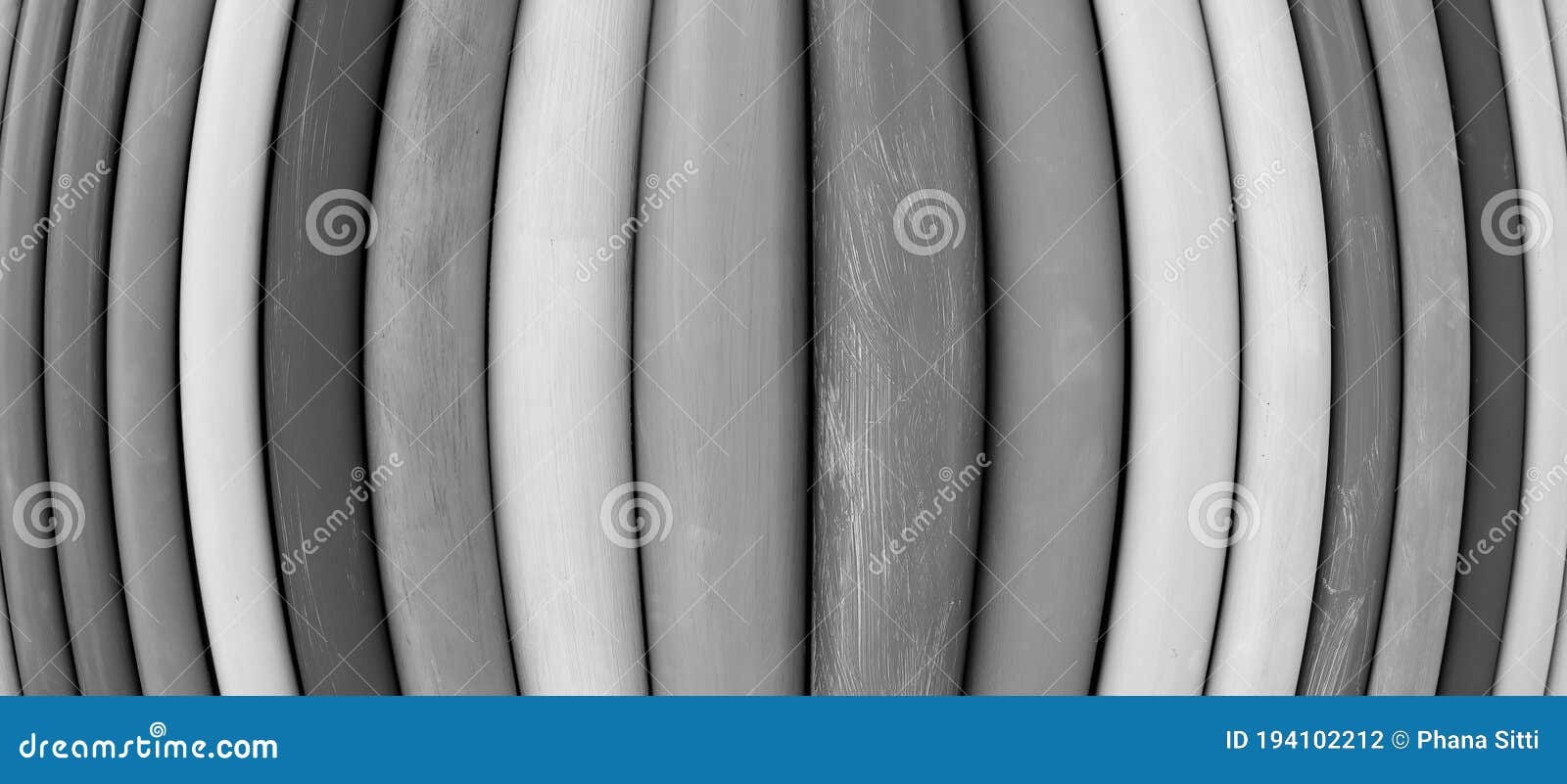 Panorama Barrel Distortion Black and White Wood Panel Timber Texture ...