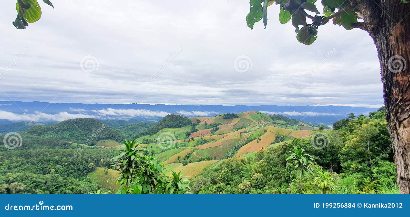Panorama of Beautiful View on Hills Stock Photo - Image of outdoor ...
