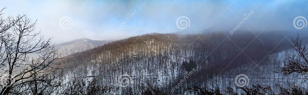 Panorama of Beautiful Winter Forest Hidden in Mist Stock Image - Image ...