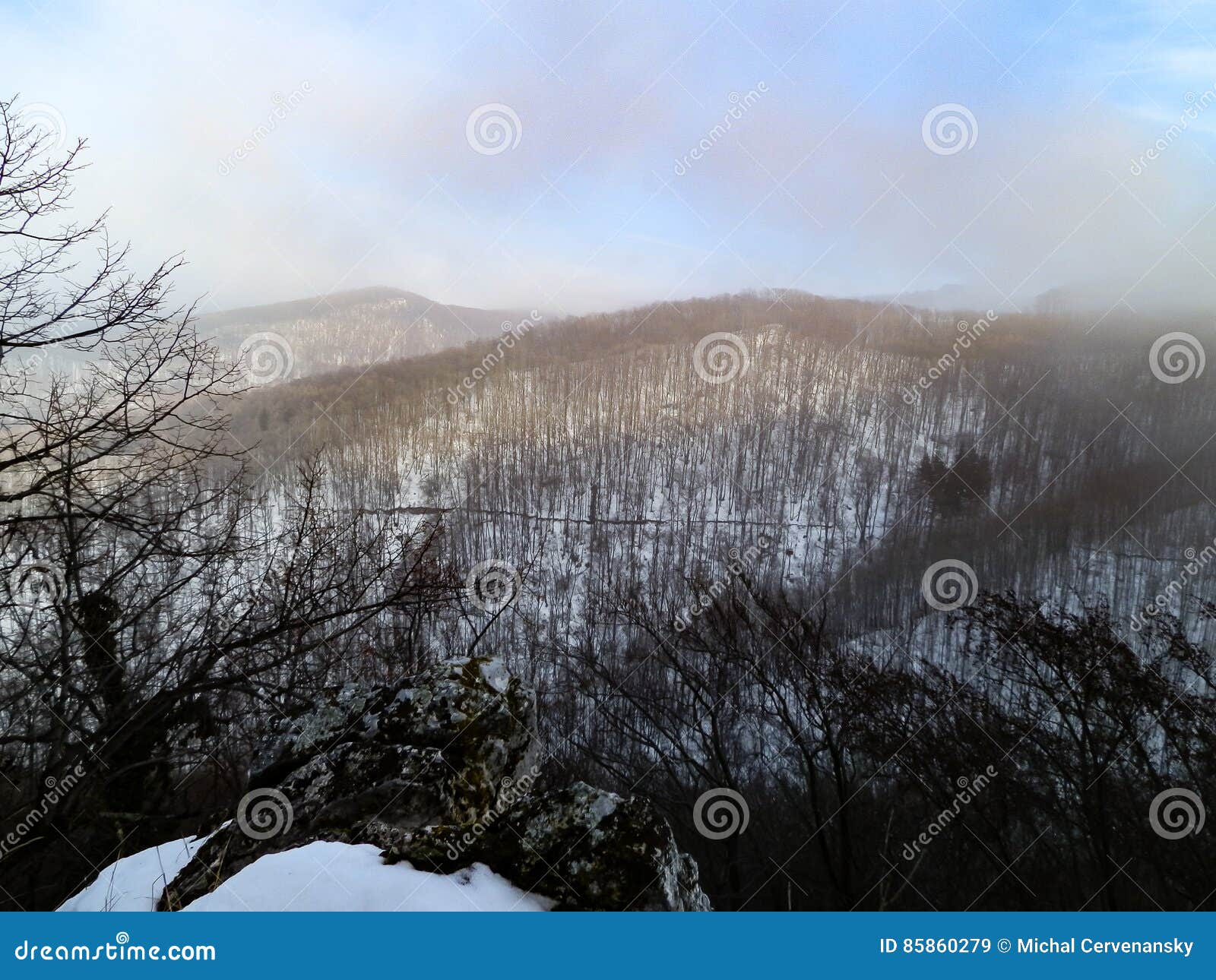Panorama of Beautiful Winter Forest Hidden in Mist Stock Image - Image ...