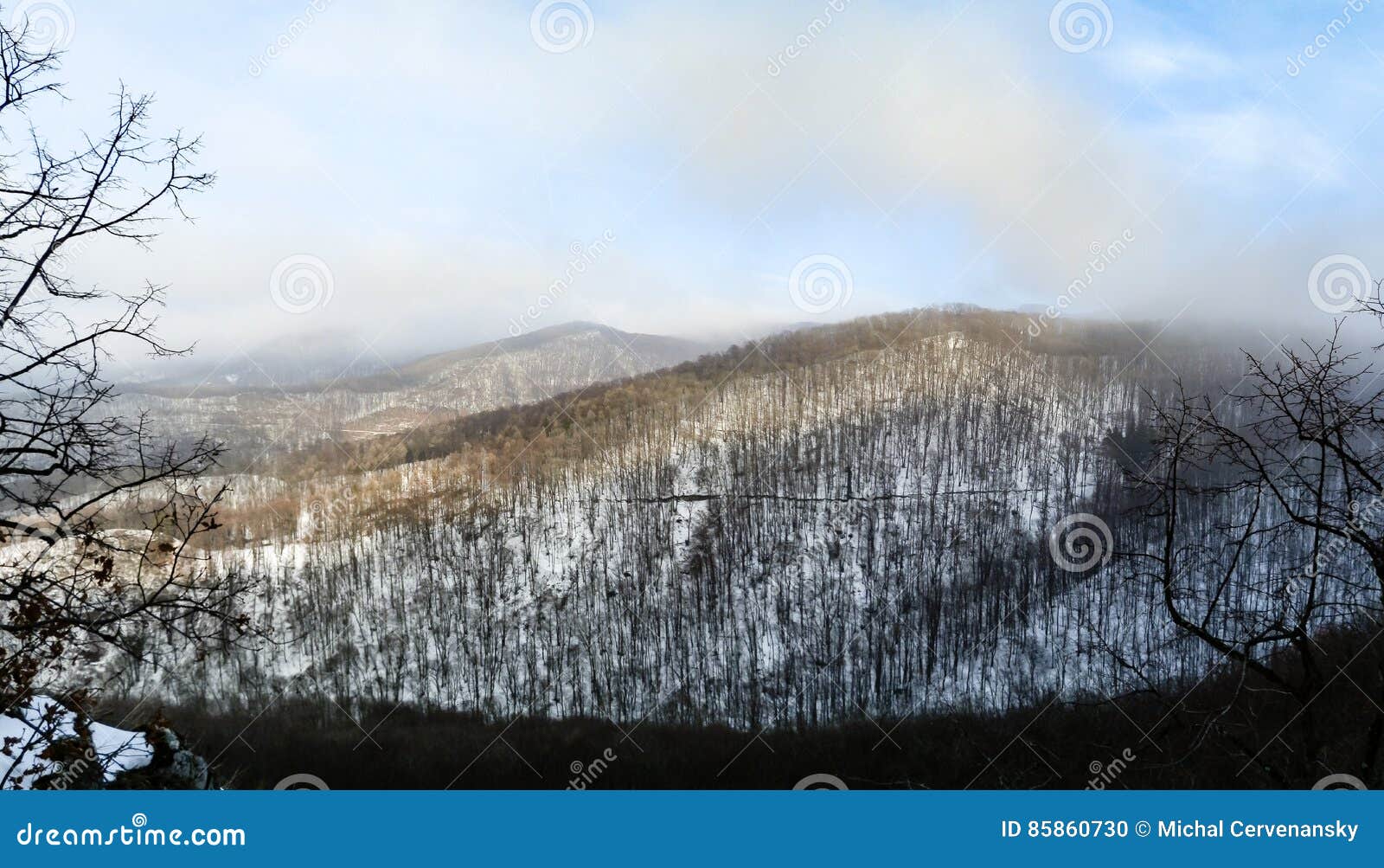 Panorama of Beautiful Winter Forest Hidden in Mist Stock Photo - Image ...