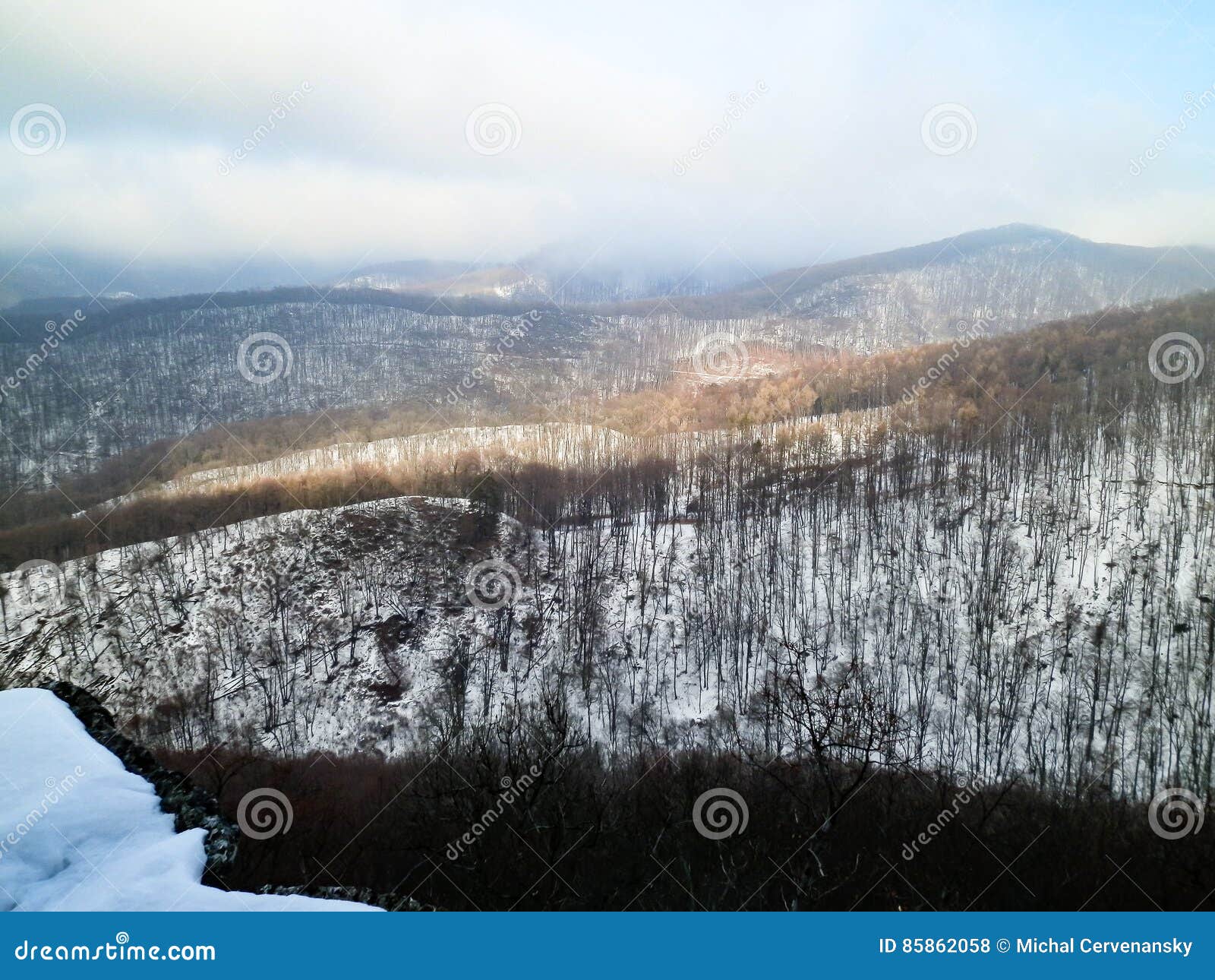 Panorama of Beautiful Winter Forest Hidden in Mist Stock Photo - Image ...