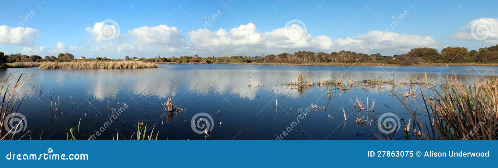 Panorama of Big Swamp Bunbury West Australia Stock Image - Image of ...