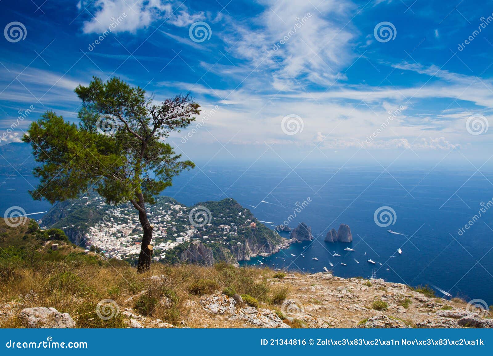 Panorama from Capri stock photo. Image of tree, europe - 21344816