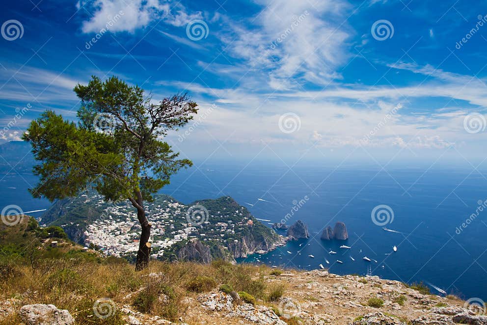 Panorama from Capri stock photo. Image of tree, europe - 21344816
