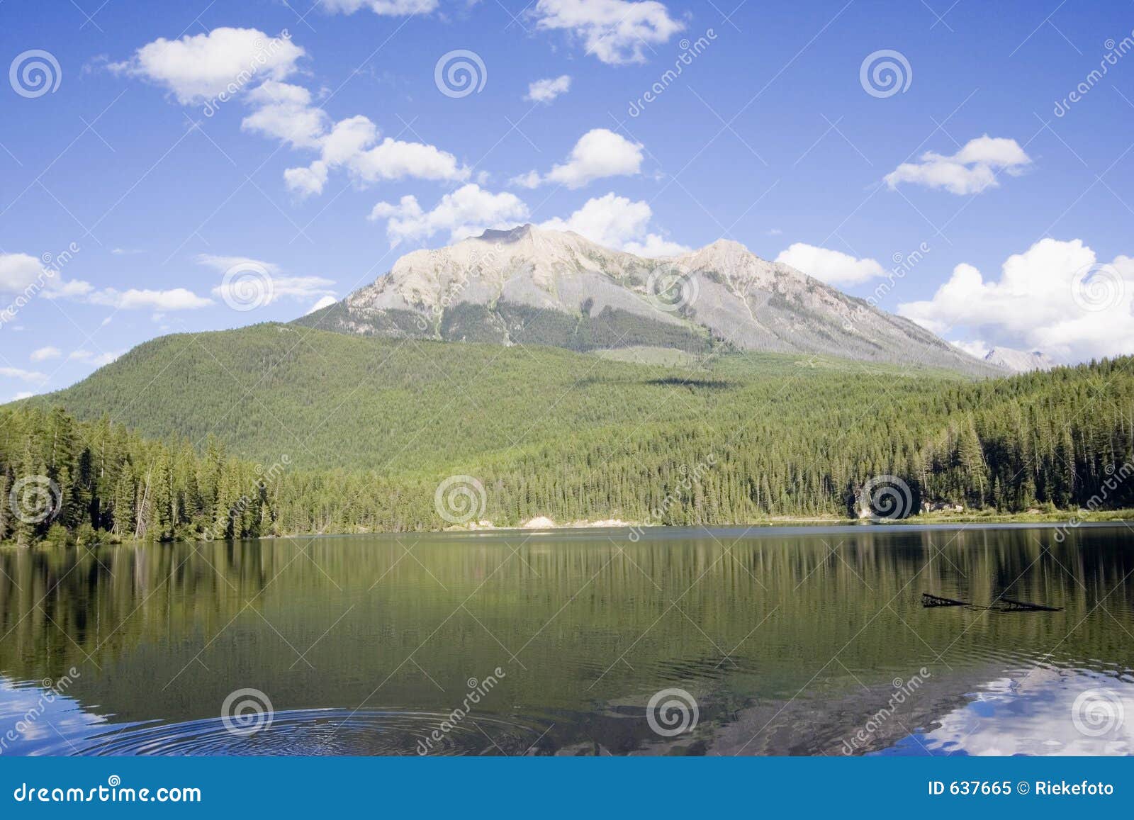 Panorama of the Charming Alces Lake Stock Image - Image of reflection ...