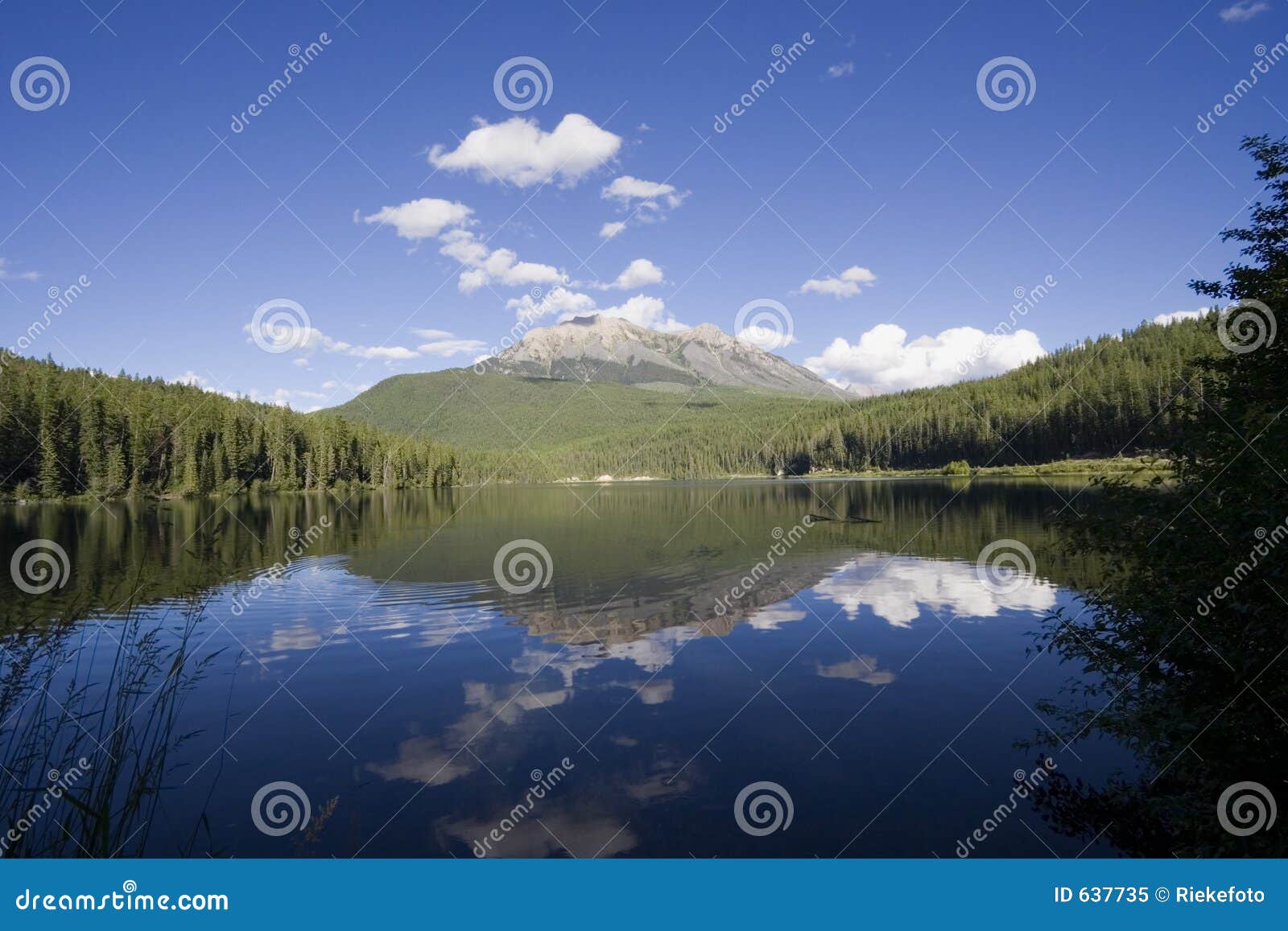 Panorama of the Charming Alces Lake Stock Image - Image of recreation ...