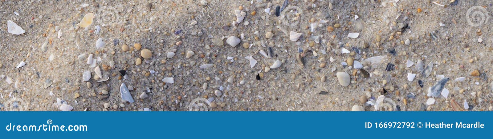 Panorama Close Up of Broken Shells on Sand Stock Photo - Image of ...