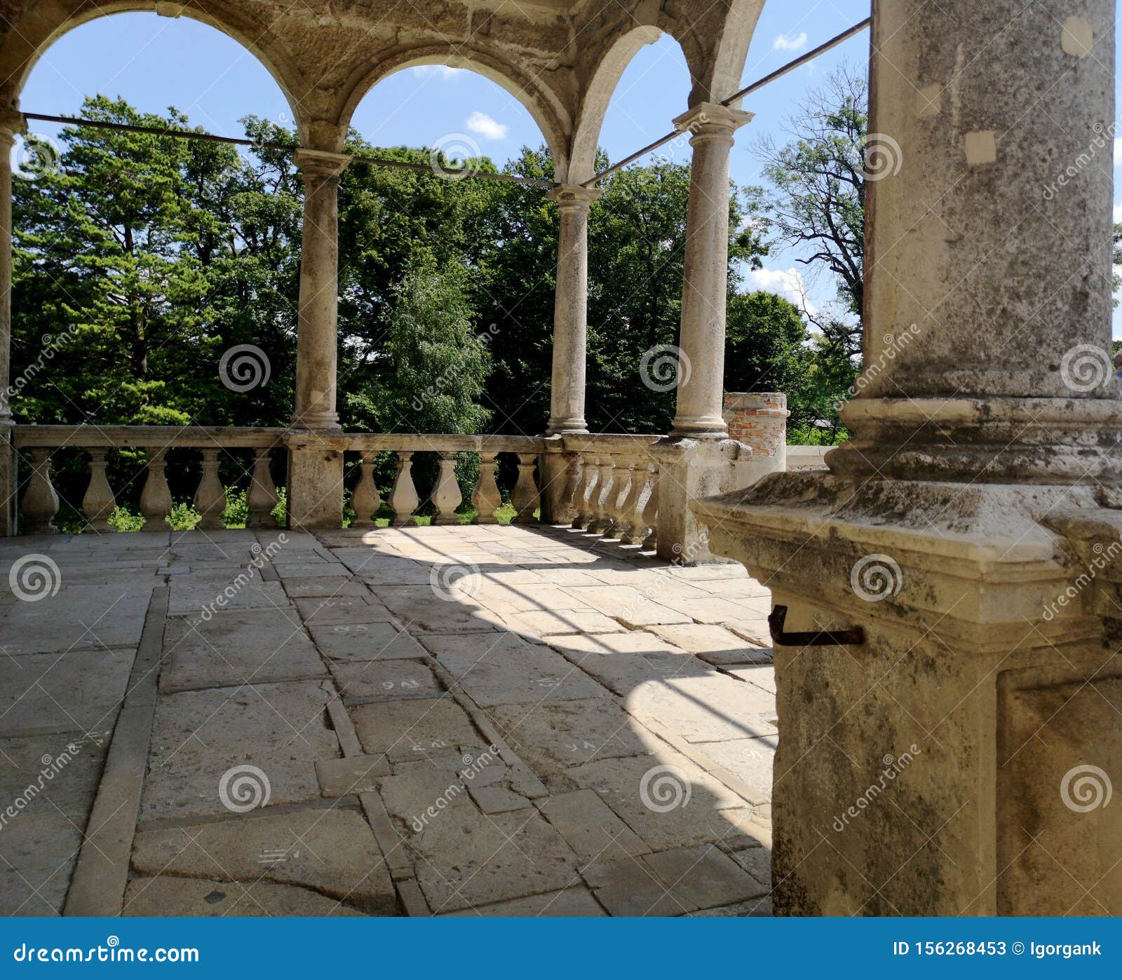Panorama of a Colonnade with Old Columns Covered with Wild Grapes ...