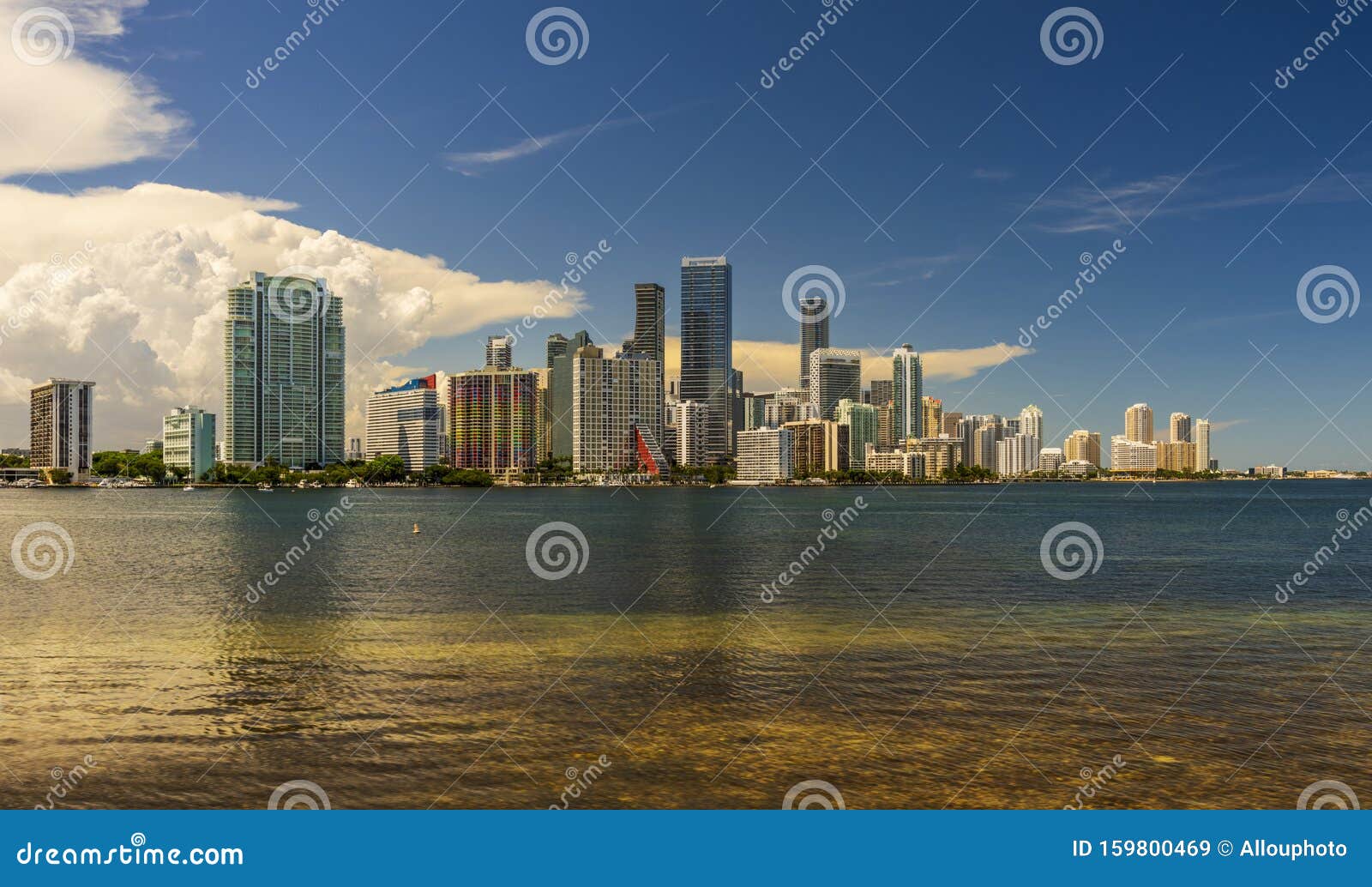 Panorama De Reflexiones Sobre El Distrito Del Centro De Miami Imagen de ...