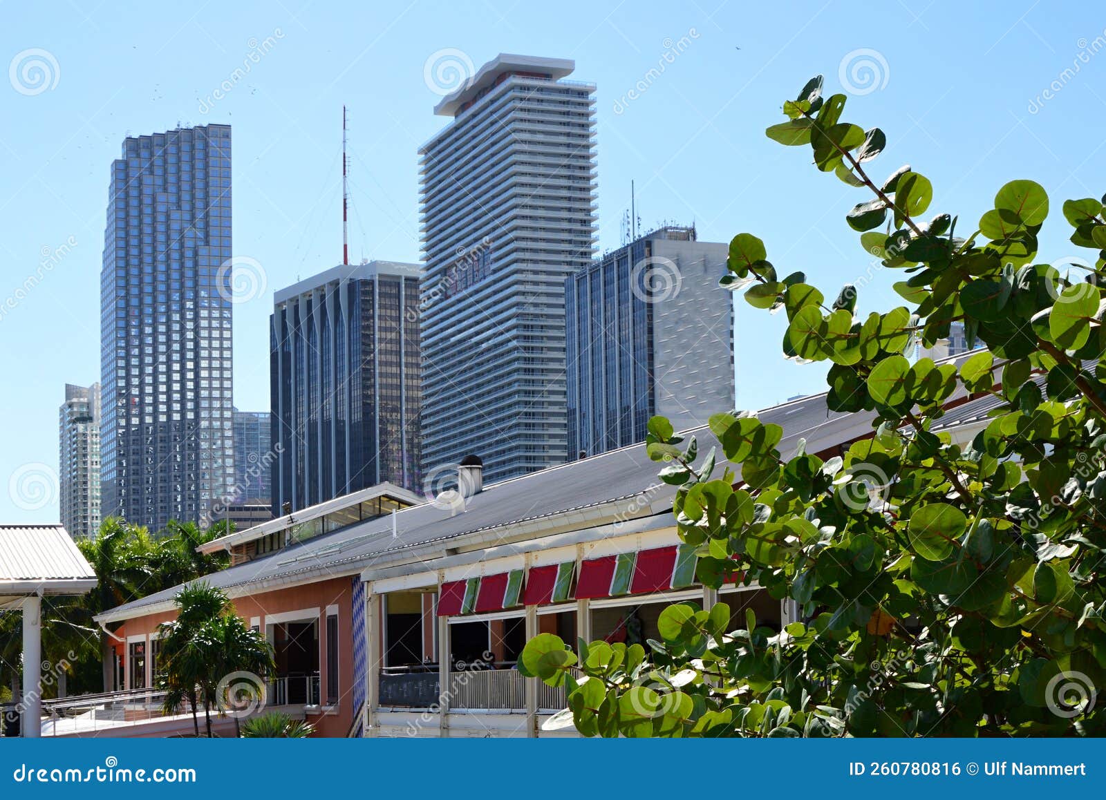Panorama Del Centro De Miami Florida Foto de archivo - Imagen de ...