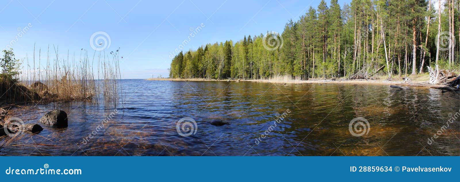 Panorama Del Lago Onega, Karelia, Rusia Foto de archivo - Imagen de ...