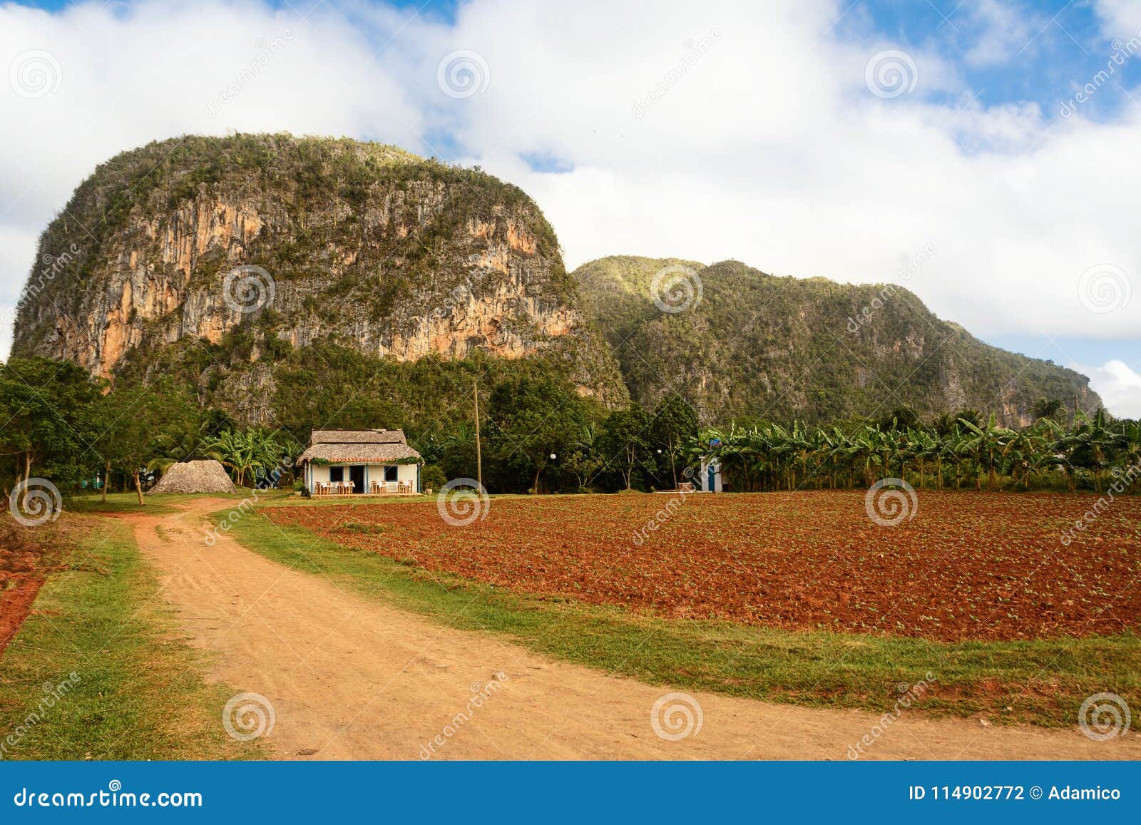 Panorama Del Valle De Vinales Con El Mogotes Foto de archivo - Imagen ...