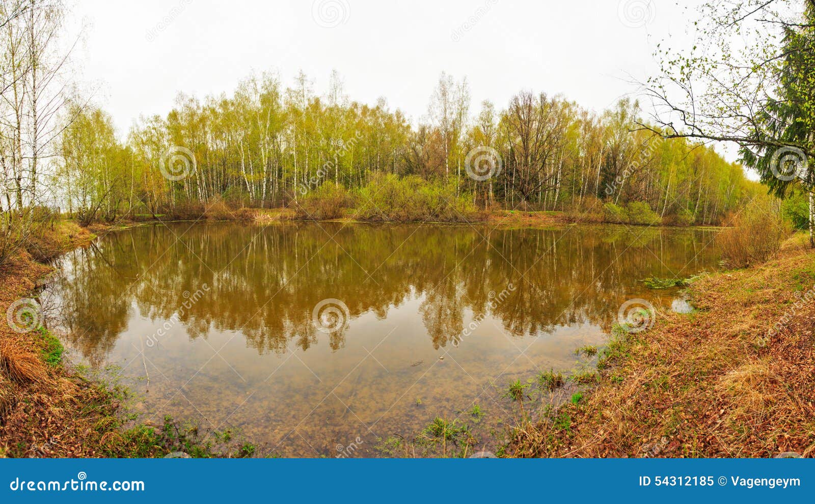 Panorama Die Bos En Meer Overzien Stock Afbeelding - Image of zomer ...