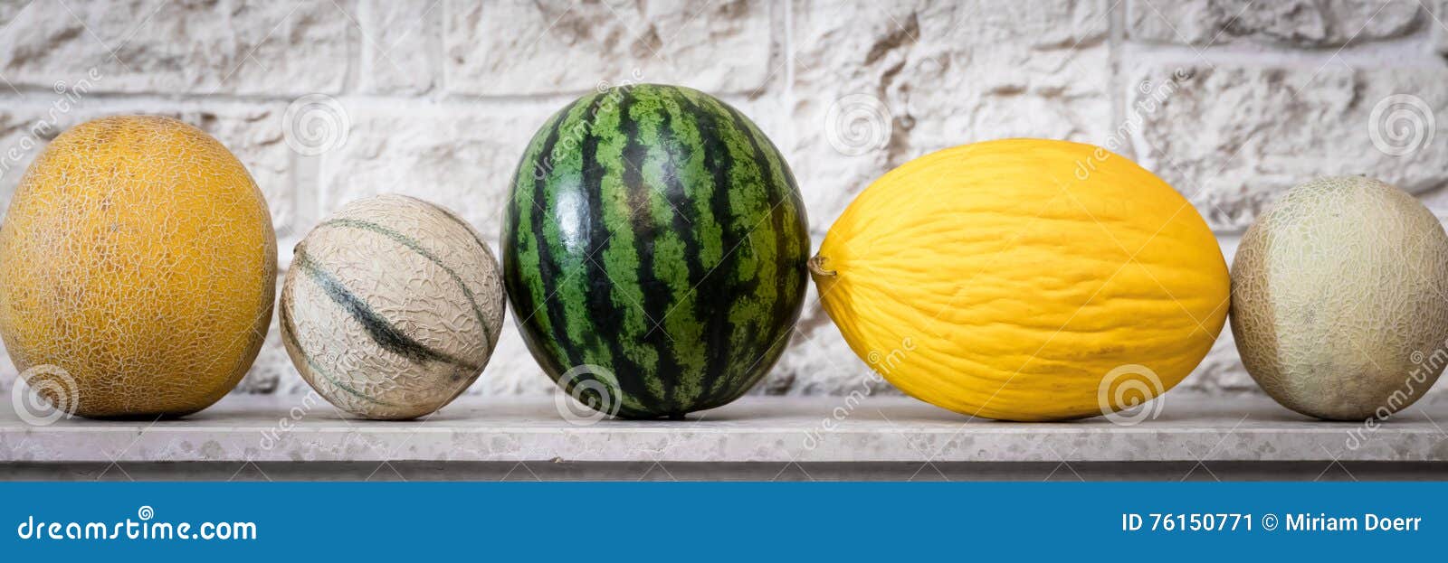 Panorama with Different Melons Stock Image - Image of panorama ...