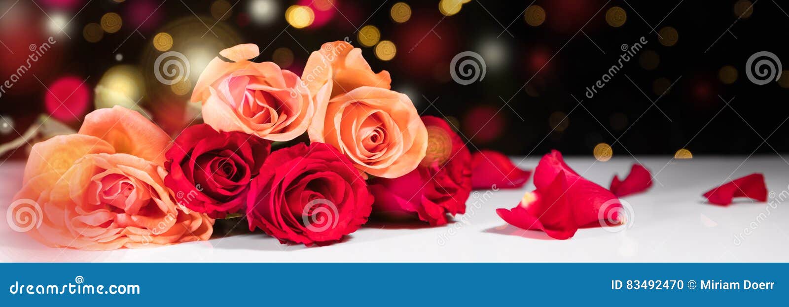 Panorama with Different Roses Stock Photo - Image of panorama, natural ...