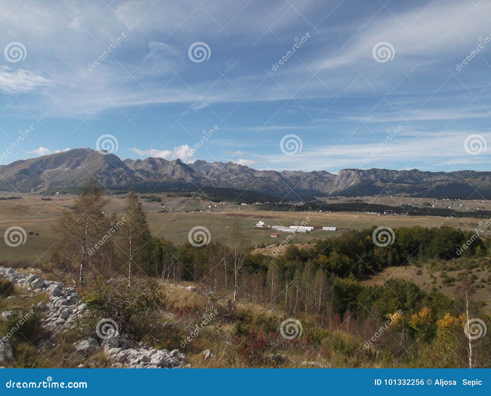 The Panorama of the Durmitor Stock Photo - Image of footprint, birch ...
